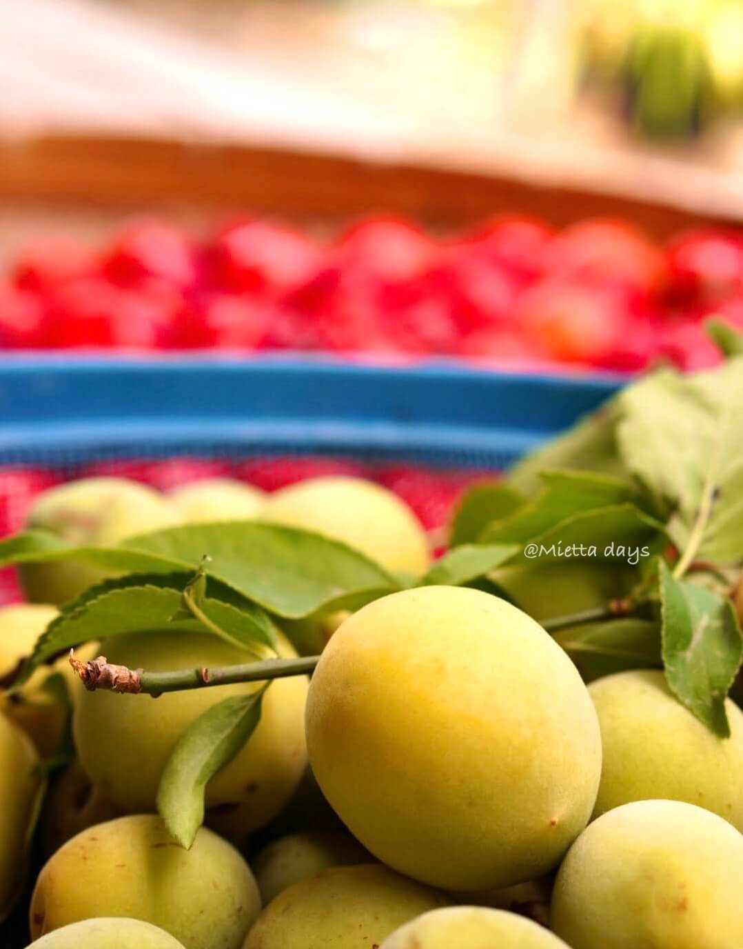 すもも（プラム）で自家製ジャムの作ろう【保存方法・とっておきの食べ方も】
